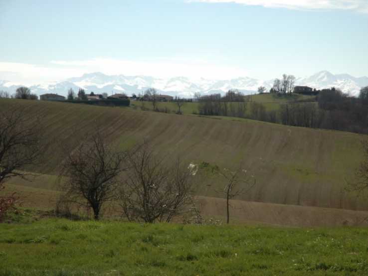 Fine Country Houses and Traditional Character Homes for Sale in France