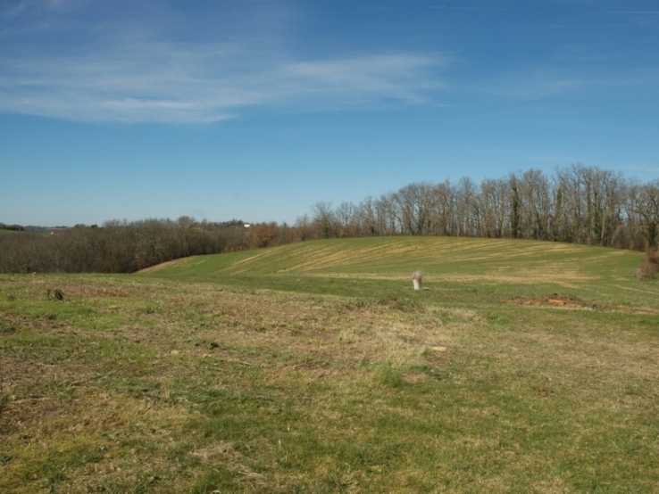 Fine Country Houses and Traditional Character Homes for Sale in France