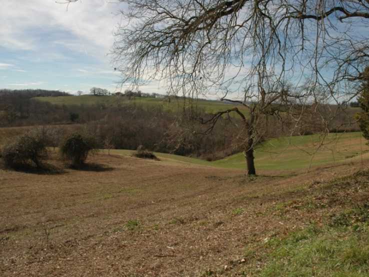 Fine Country Houses and Traditional Character Homes for Sale in France