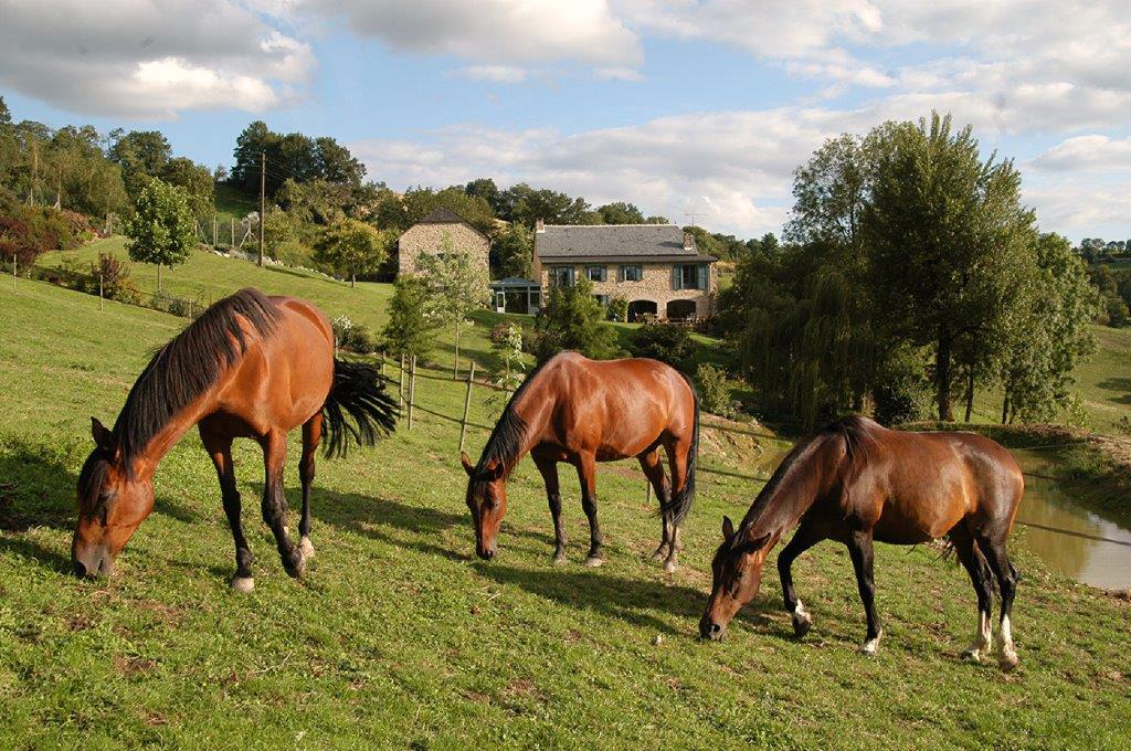 French Property for Sale - Traditional Houses, Character Homes, Farms ...