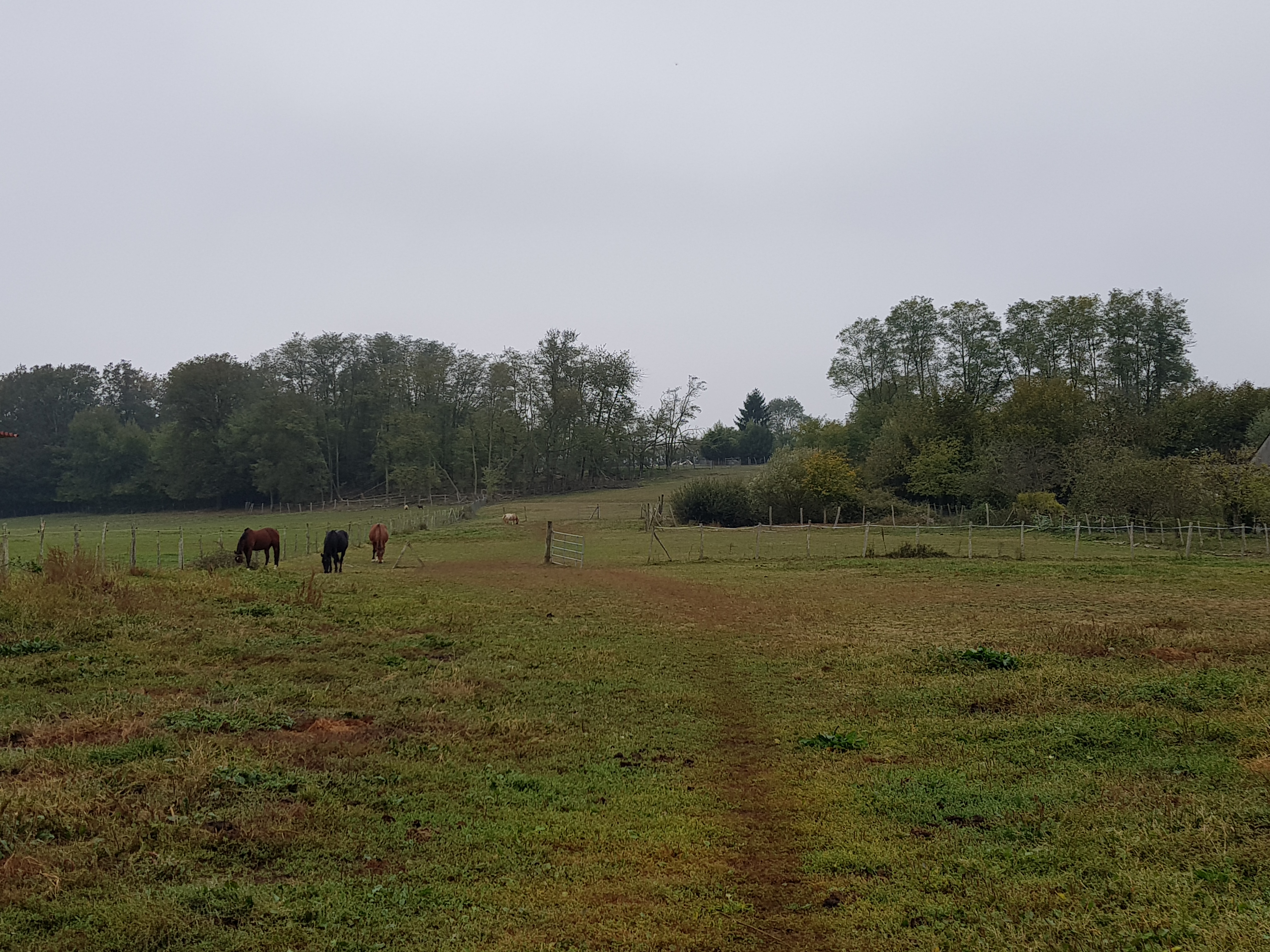 Farms and Rural Properties For Sale in France | My-French-House.com