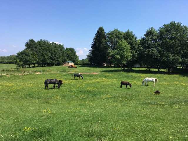 Farms and Rural Properties For Sale in France | My-French-House.com